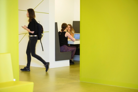 Language Consultation Dutch and English - Hogeschool van Amsterdam